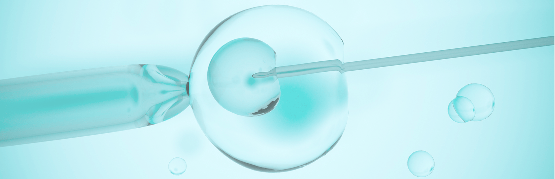 Infertility Best Ivf Center In Mumbai Fertiltree Jaslok Hospital