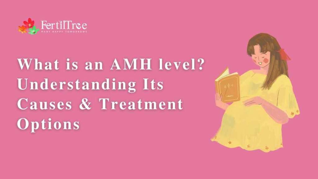 What Is An AMH Level AMH Causes Treatment Options