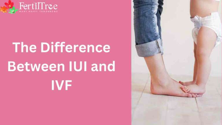 IUI vs IVF: The Procedures, Success Rates and Duration