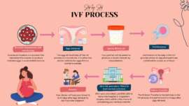 IVF Procedure Step By Step | The Complete IVF Process Guide