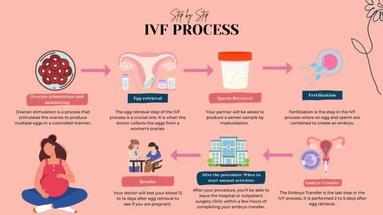 IVF Procedure Step By Step | The Complete IVF Process Guide