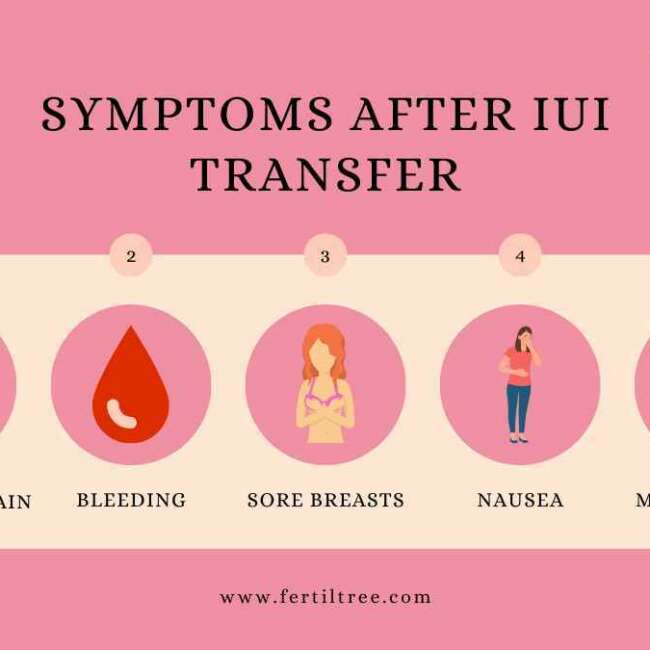 In Vitro Fertilization(IVF): Process, Risks & What To Expect