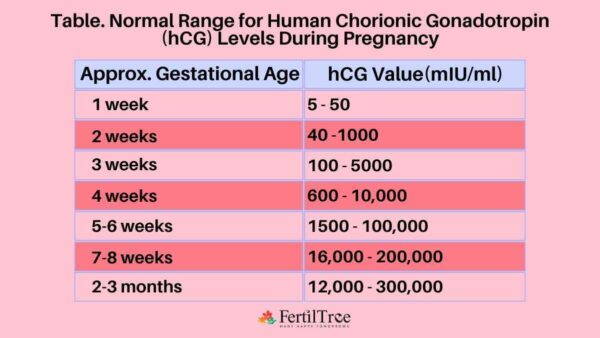 hCG Levels After IVF Embryo Transfer | by Dr Firuza Parikh