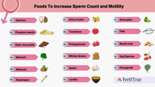 18 Best Foods To Increase Sperm Count and Motility | Fertile Tree
