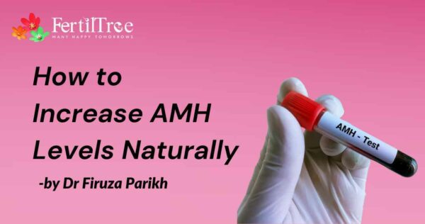 How to Increase AMH Levels Naturally Guide | Fertile Tree