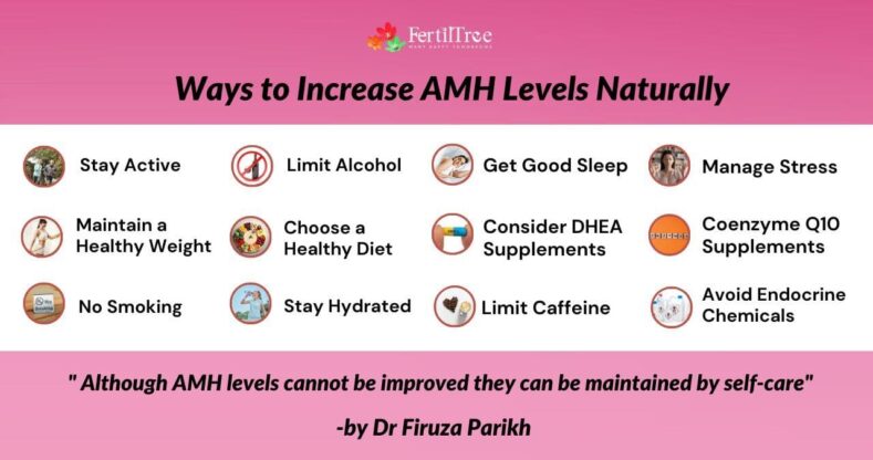 How to Increase AMH Levels Naturally | Fertile Tree
