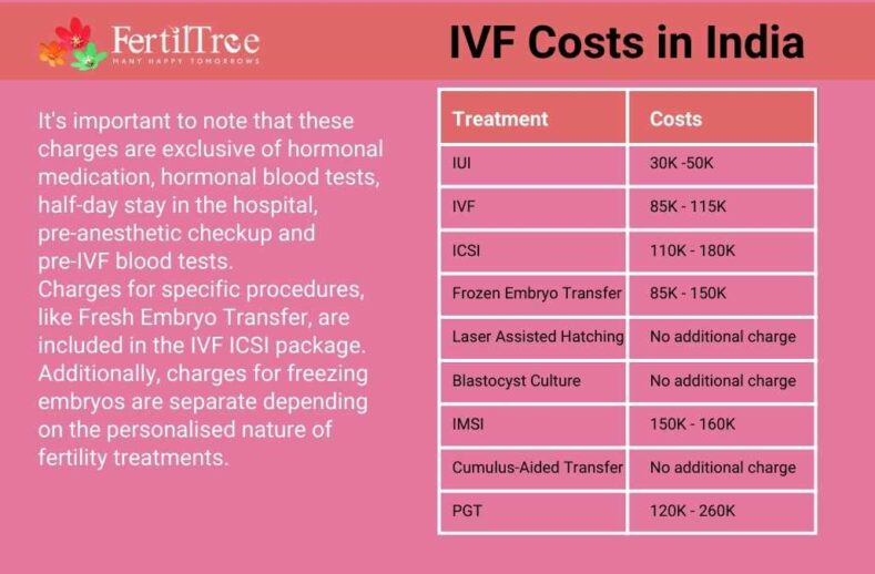 Understanding IVF Treatment Costs in India: Affordable Options for Your ...
