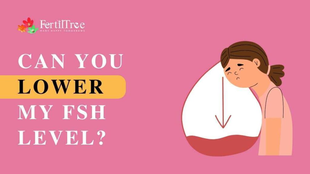 Can You Lower My FSH Level? Fertile Tree