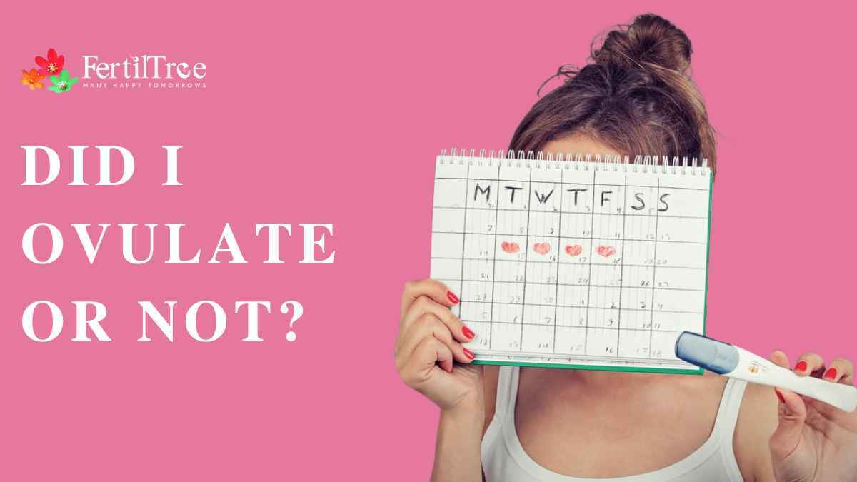 Did I Ovulate or not? By Dr. Firuza Parikh