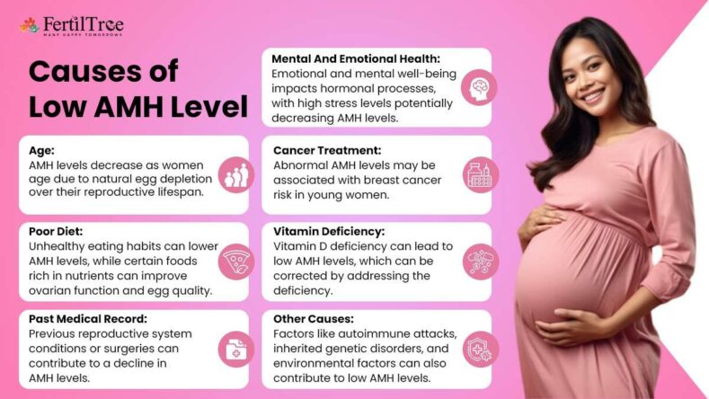 Low AMH Level: Causes, Symptoms & Treatment | Fertile Tree