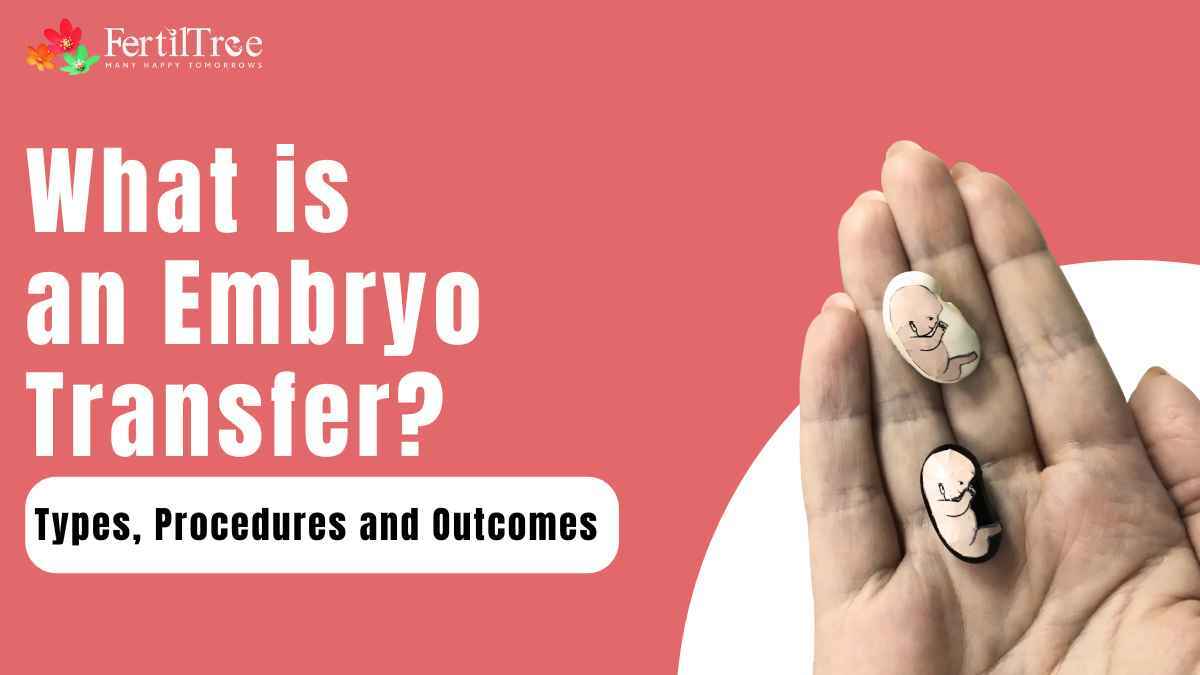 Embryo Transfer - Types, Procedures and Outcomes | FertilTree