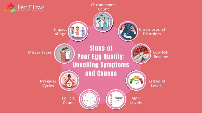 Signs of Poor Egg Quality: Uncovering Symptoms, Causes & Effective ...