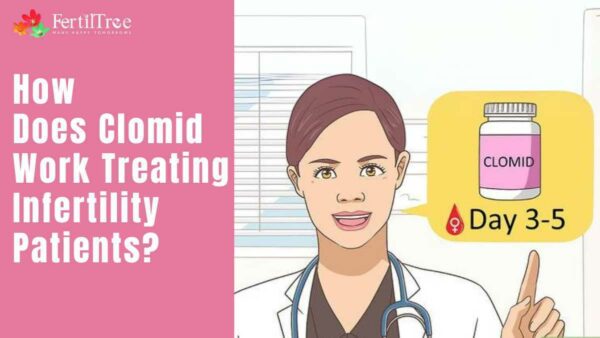 How Does Clomid Fertility Drug Work Treating Infertility Patients?