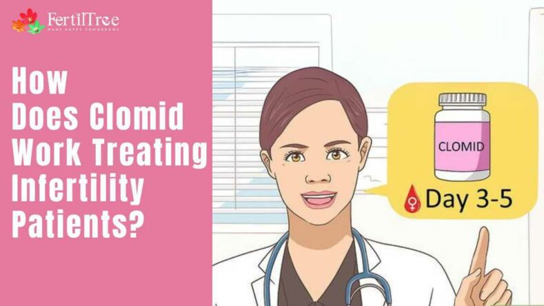 How Does Clomid Fertility Drug Work Treating Infertility Patients?