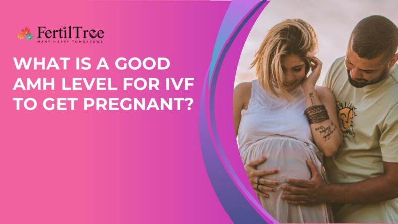What is a Good AMH Level for IVF to Get Pregnant? - Fertiltree