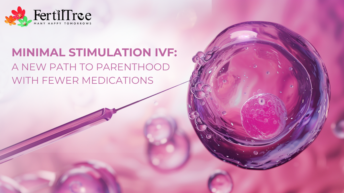 Minimal Stimulation IVF (Mini IVF): A Comprehensive Guide - Fertiltree